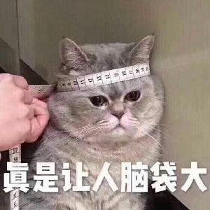 你很重要不是吗 