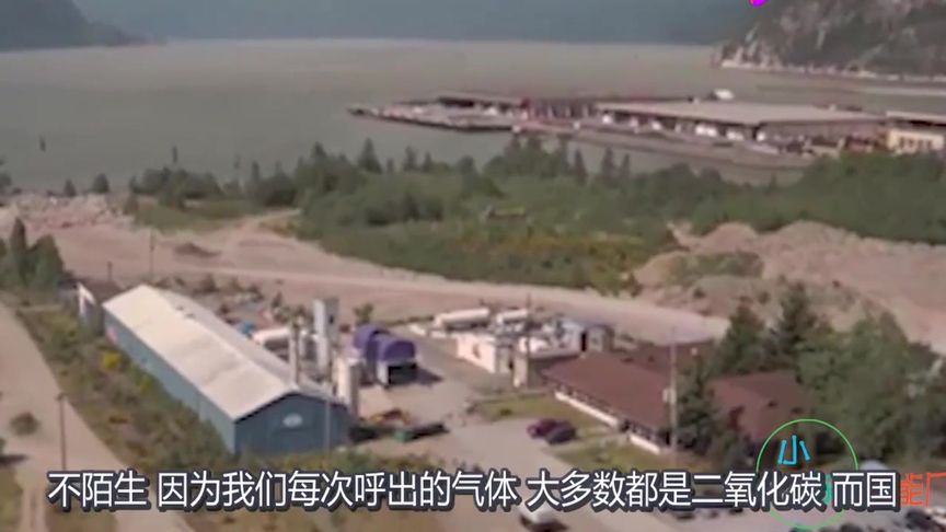 二氧化碳用途竟然这么光,不久得将来会代替汽油加入汽车