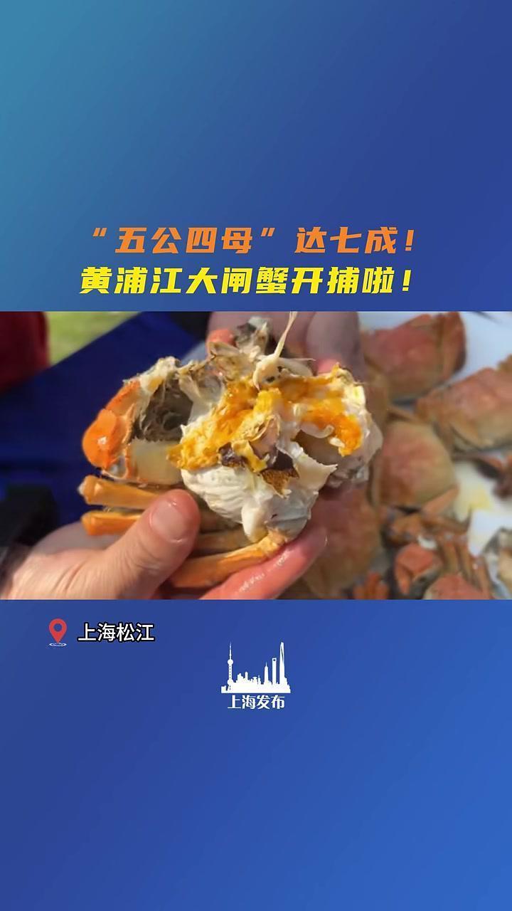 ...“松江模式”池塘绿色养殖的历史最高水平。(供稿:松江区融媒体中心)