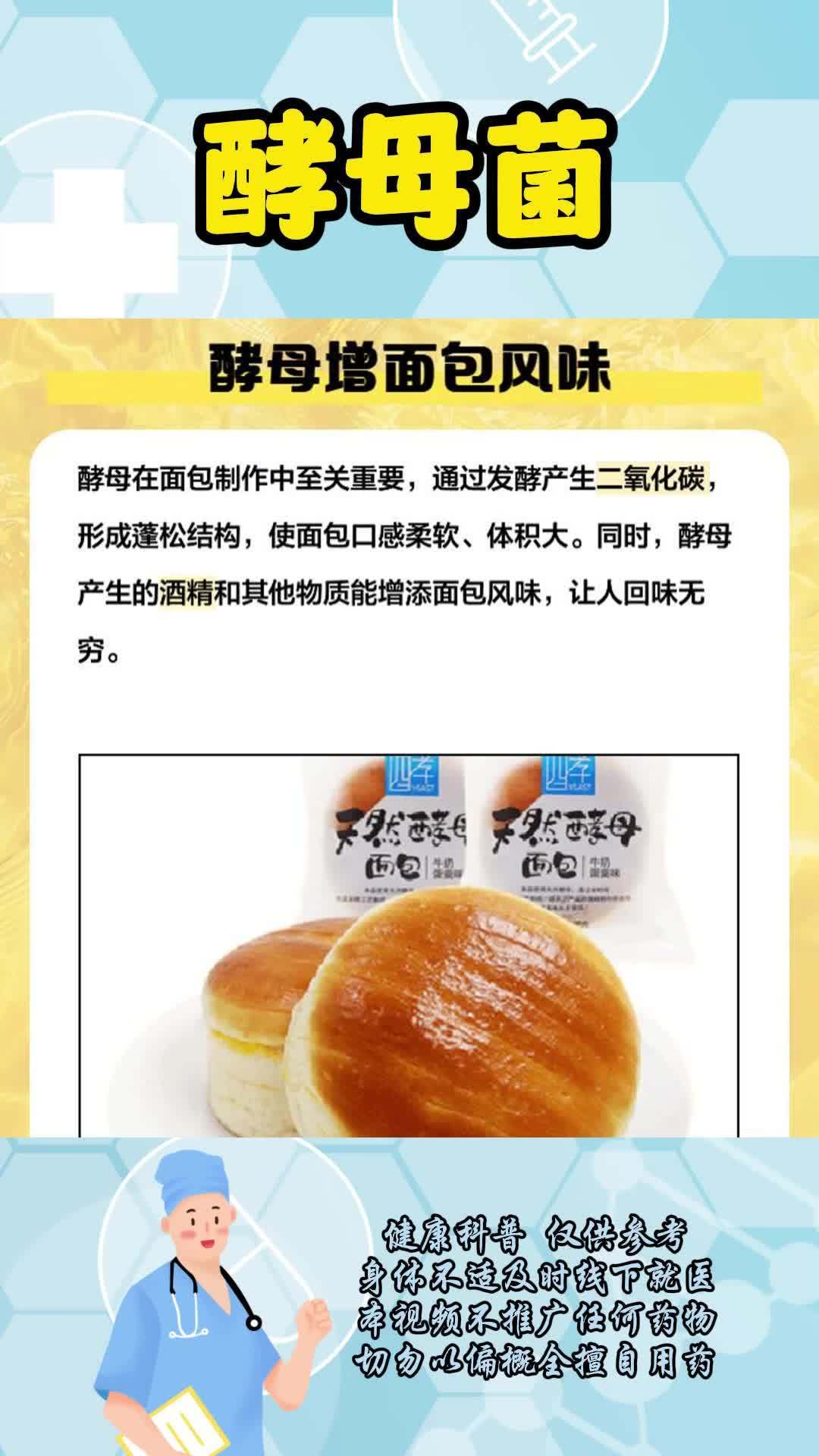 酵母菌是个宝藏生物,有超多神奇作用!