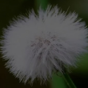 中二名字不好叫 