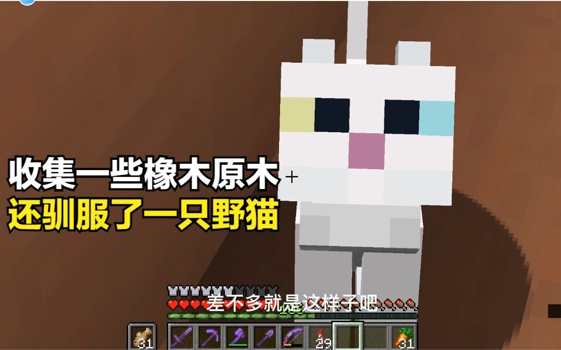 1.18我的世界918:收集一些橡木原木,还驯服了一只野猫