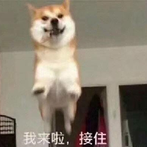榴莲味的荷包蛋 
