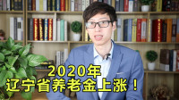 2020年辽宁省养老金调整!定额调整分5档,今年还增加了一项内容