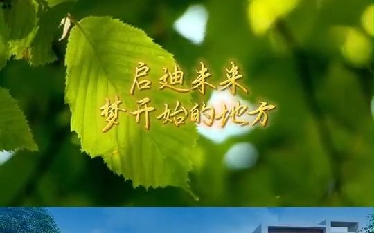 ...是一所隶属于湖南启迪智慧教育管理集团旗下的全日制高考培训学校。