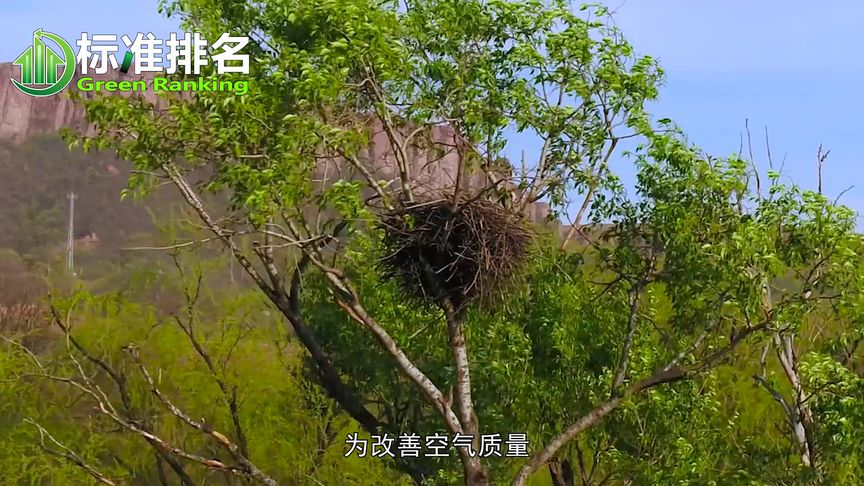 邢台空气质量全国倒数第一