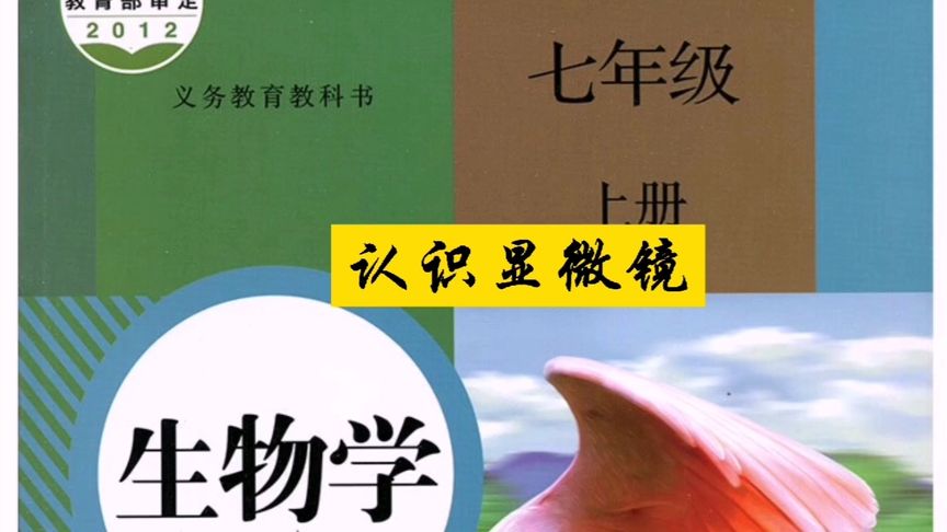 认识显微镜——初中生物实验探究视频