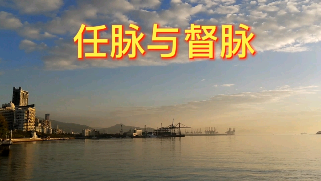 经络与穴位(第1集):任脉与督脉。