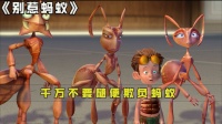 蚂蚁的触角有多神奇,只要抖一抖,就能感到危险来临