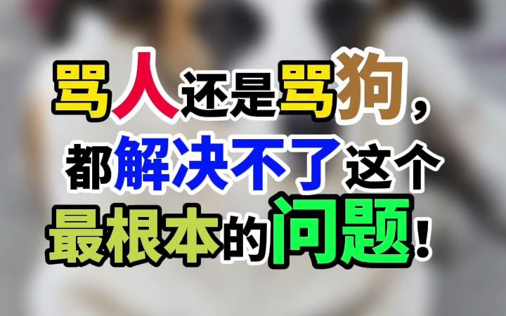 骂人还是骂狗,都解决不了这个最根本的问题!