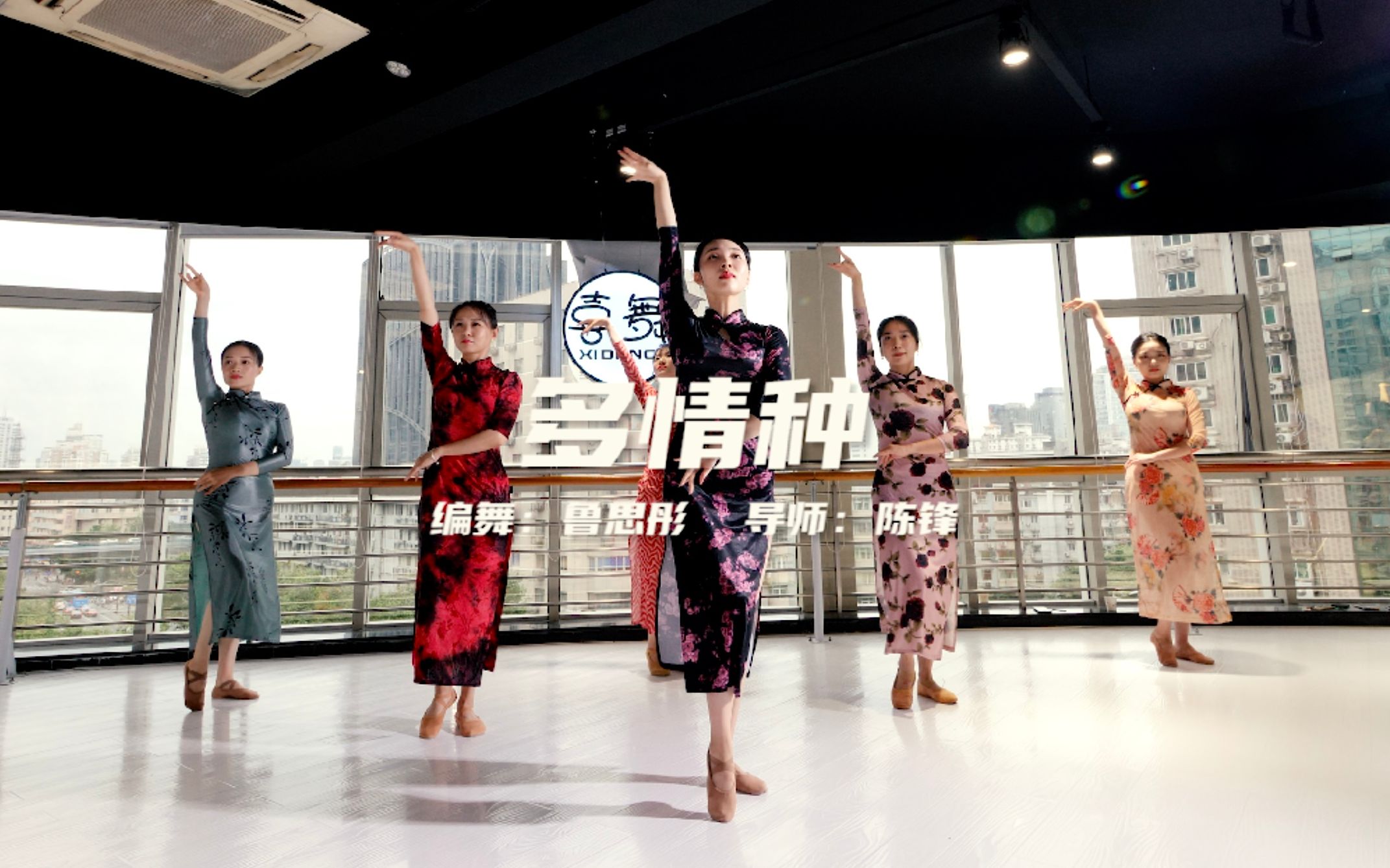 【XIDANCE舞蹈】古典舞《多情种》旗袍舞蹈视频