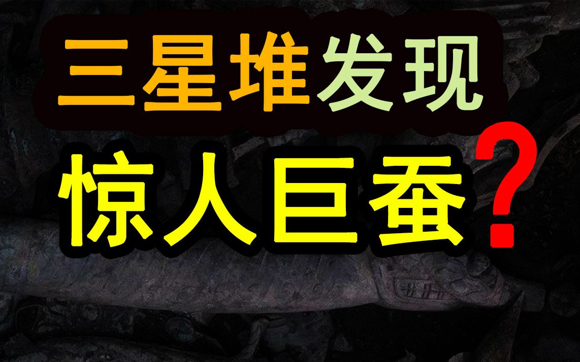 三星堆出土惊人巨蚕?是猪鼻龙还是蚕?几千年前奇怪的样子!