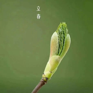 中医回归 