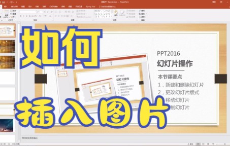 【PPT技巧】今天教你如何用PPT软件在模板中插入一个图片意幻灯片...