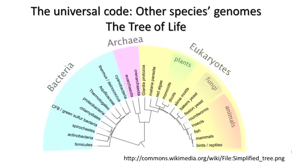 北京大学生物信息学(中文版) 公开课
