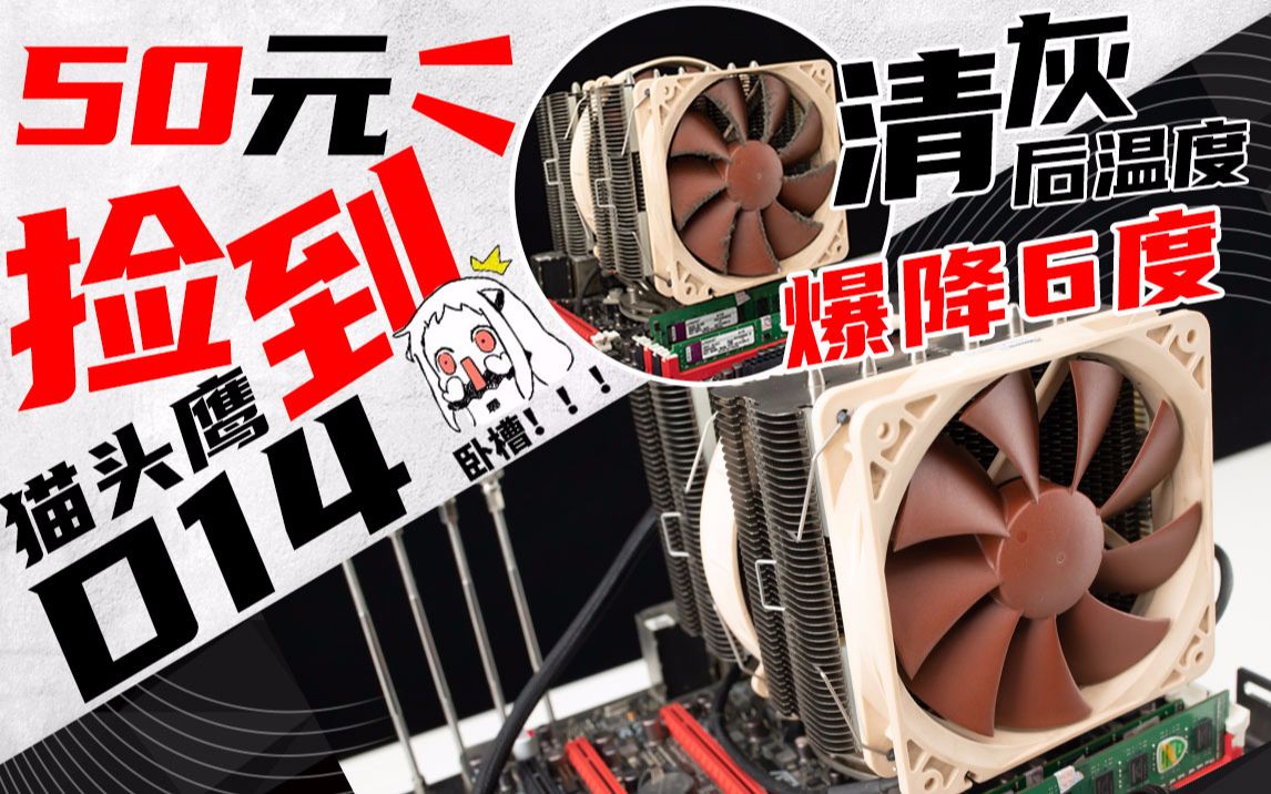 50元捡到伊拉克成色猫头鹰D14!清灰后温度爆降6度!恢复99新