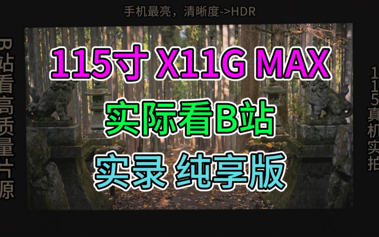 TCL 115寸 X11G Max 看B站效果实录 纯享静音版