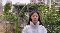 暖冬小队寒假社会实践活动记录