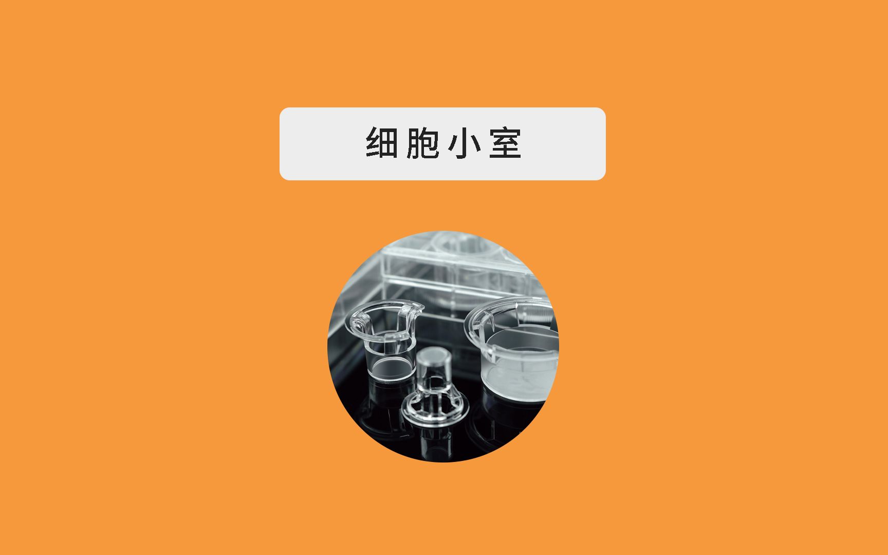 transwell细胞小室 该怎么选择膜材质和孔径?