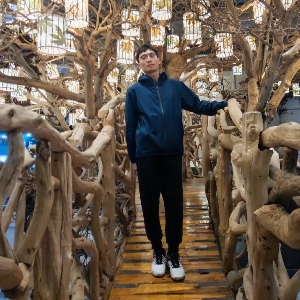 python卷王 