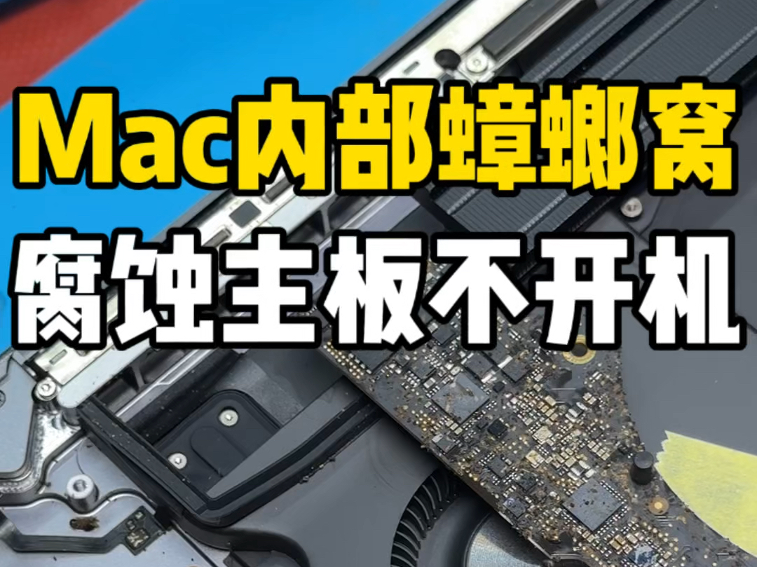 Mac电脑进蟑螂,拆机一看吓跳起来,一堆蟑螂到处跑,主板上全是蟑螂卵,...