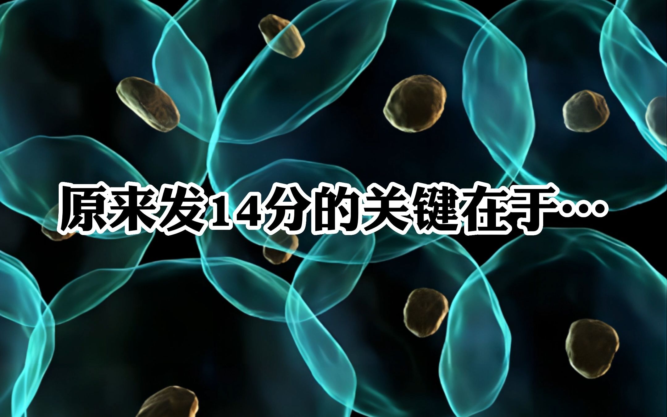SCI热点分享(IF:14.957)分析方法简单,逻辑严谨,数据选择+湿实验,值得...