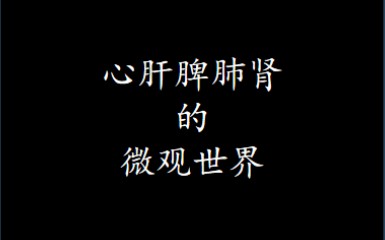 小鼠内脏HE染色