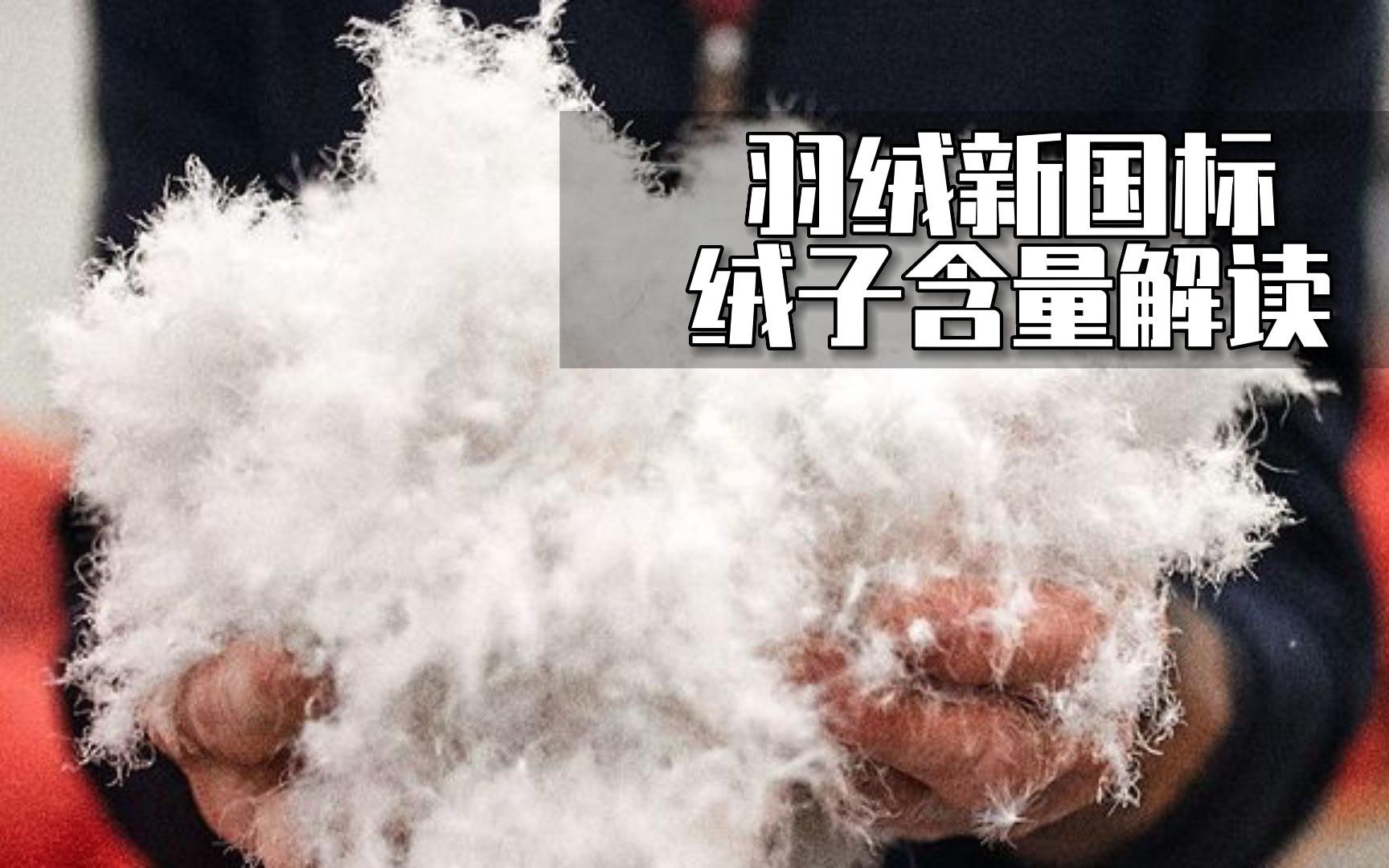 羽绒服新国标,其中含绒量变更为绒子含量,名字发生变化,定义也发生了...