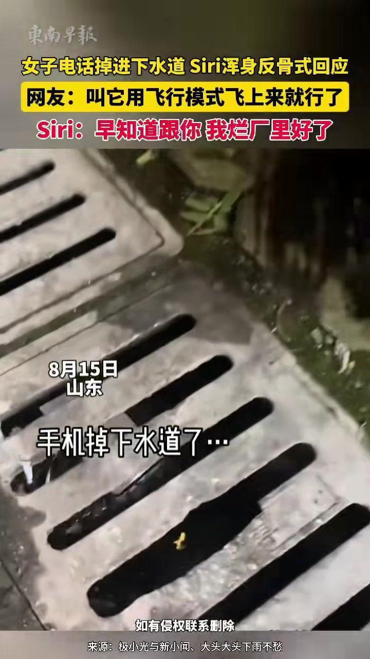 女子电话掉进下水道,Siri浑身反骨式回应。网友:叫它用飞行模式飞上来...