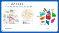 1单细胞测序介绍与原理