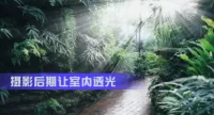 室内照片太平淡怎么办?ps老师教你做透光效果,干货!