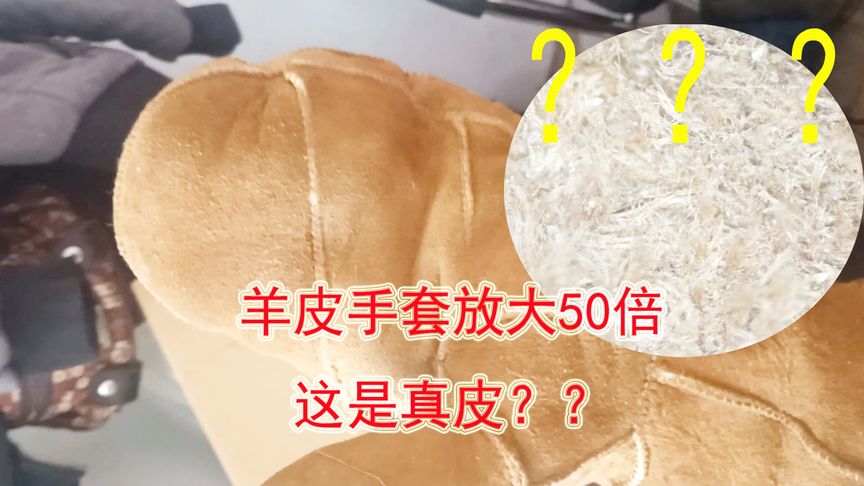 放大50倍,羊皮手套竟然是这个样子!