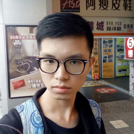飞翔的烈焰 