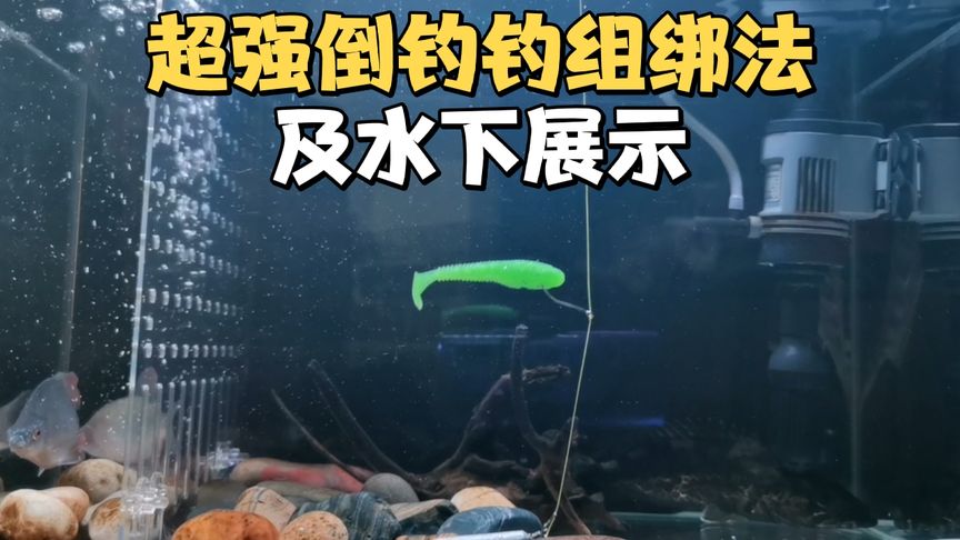 超强倒钓钓组绑法,及水下状态。步骤简单明了,你学会了吗?