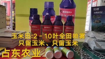 东北这几天气温太低,建议大家玉米田苗后除草剂谨慎用药,咨询用药的...