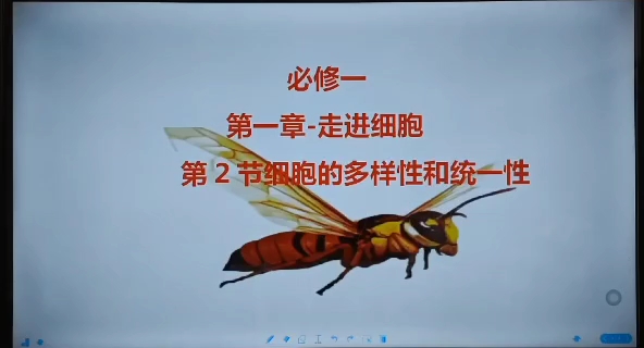 高中生物必修一第一章走进细胞第二节细胞的多样性和统一性004