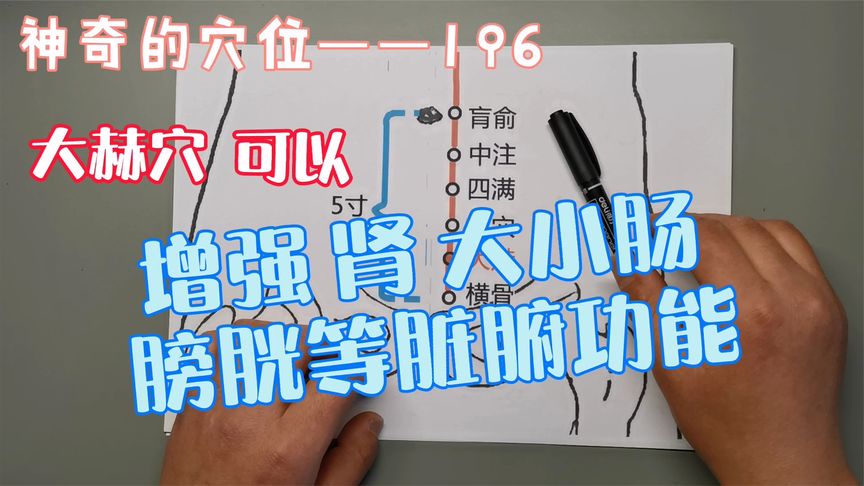 神奇的穴位——大赫穴,可以增强肾 大小肠 膀胱等脏腑功能。