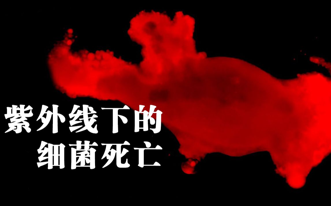 幽默科普:在微观世界观察,紫外线是如何杀死微生物的?