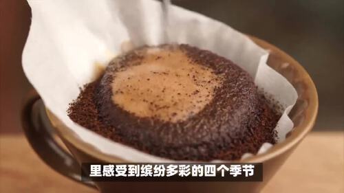 最适合夏天的冰咖啡是啥?椰青美式、厚椰乳拿铁用的椰子有啥区别