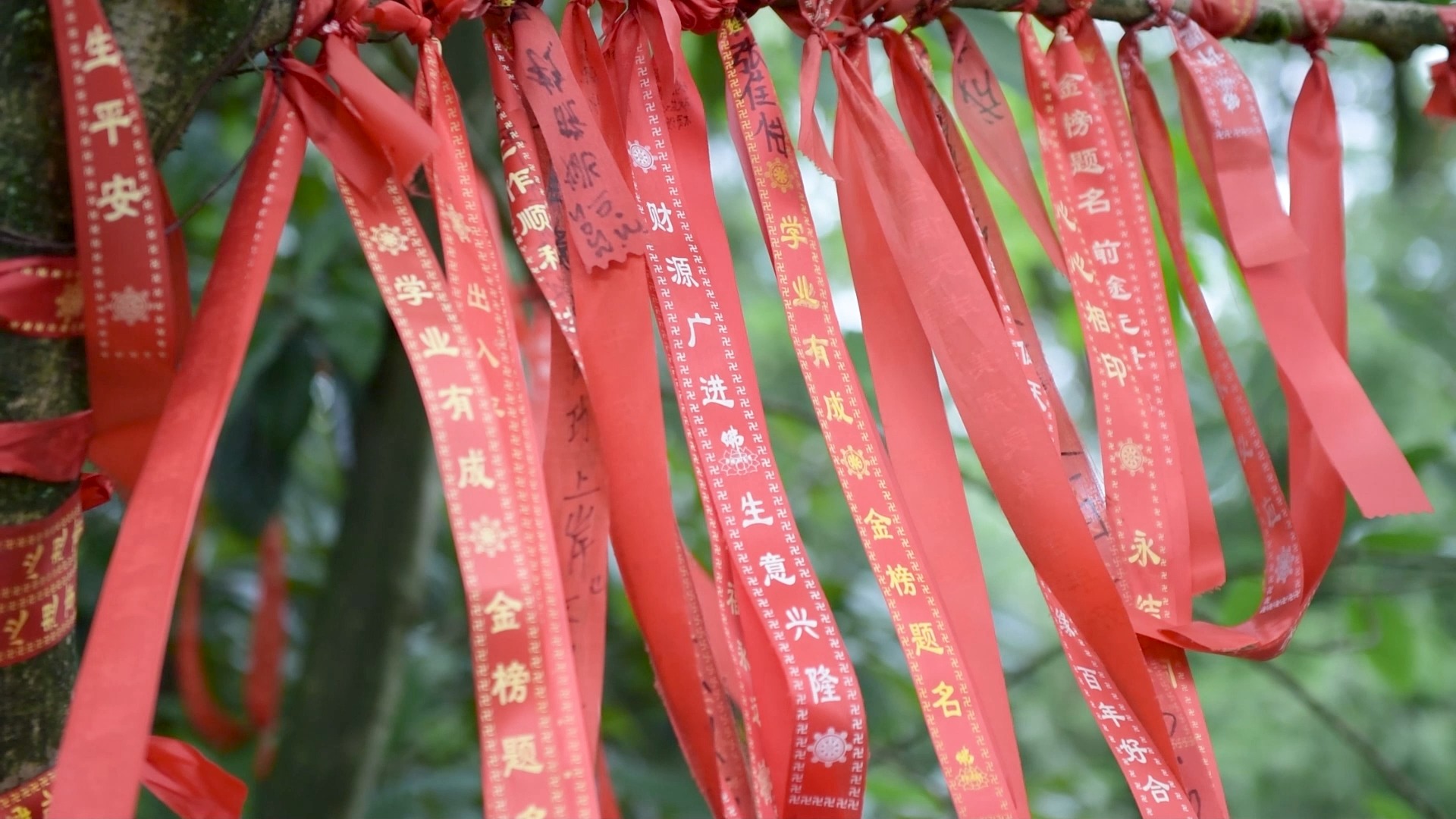 尼康D810手持视频拍摄测试片(无镜头防抖)