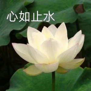 工程眼看世界 
