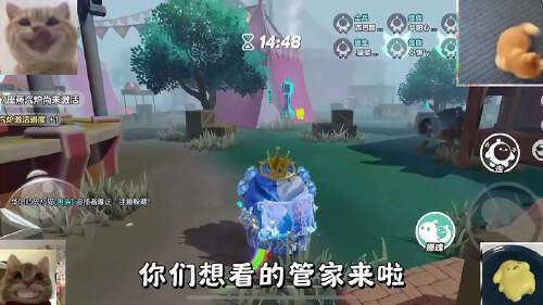 全网最萌小管家报到!哪个小宝还没来看?