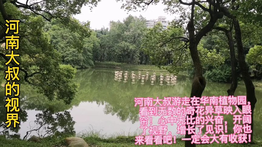 跟随河南大叔的镜头,继续在华南植物园欣赏奇花异草!惊喜连连!