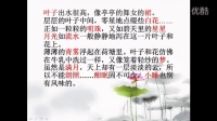 荷塘月色微课视频