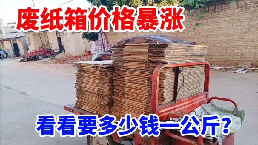 广东惠州废纸箱价格暴涨,11月10日看看要多少钱一公斤?大吃一惊
