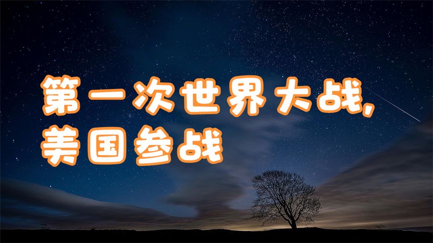 第一次世界大战,美国参战