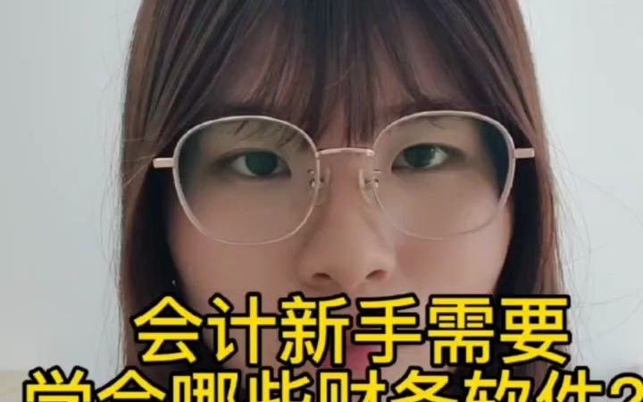 会计新手需要学会哪些财务软件?