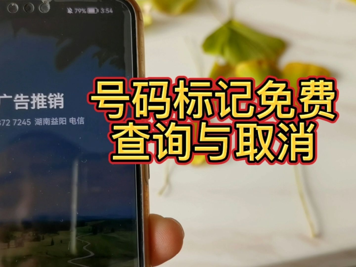 号码标记查询系统:一键查询标记来源的操作指南