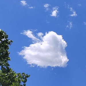 晴空碧胜蓝n 