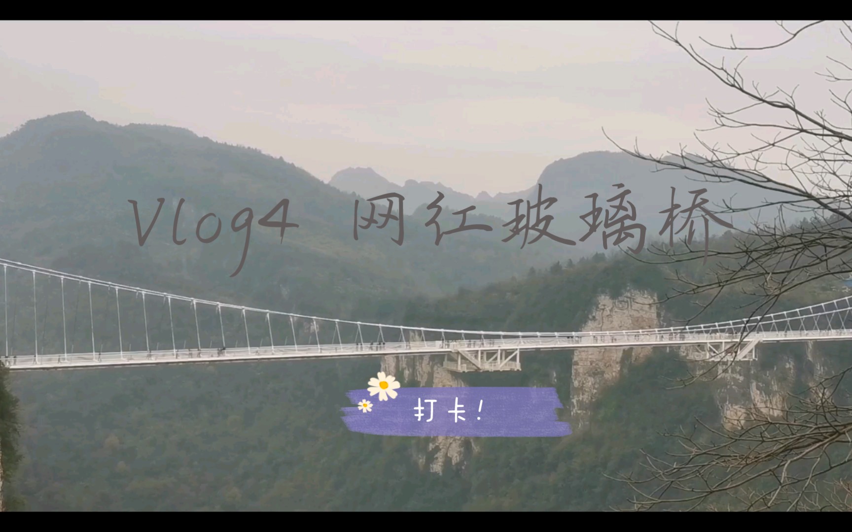 Vlog4|张家界之行day2|当地一家好吃的牛肉粉店|张家界大峡谷|乘船游...
